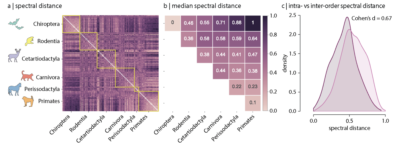 Replicating Figures From Paper NDD II Investigating Kernels