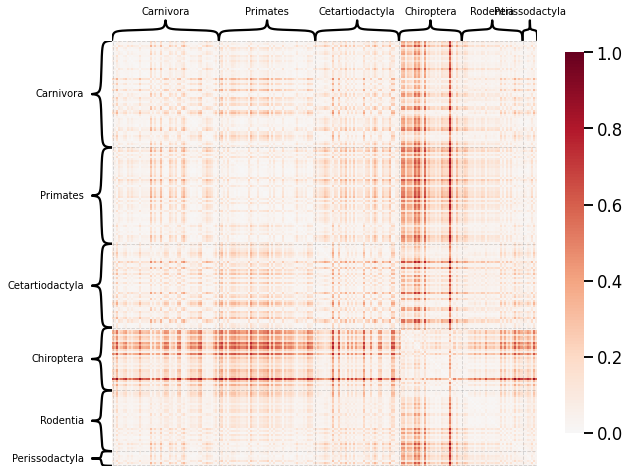 Replicating Figures from Paper — NDD II - Investigating Kernels
